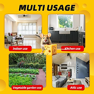 WHEELIO Mouse Traps, 4 Pack Humane Mouse Traps for Indoors and Outdoors, Reusable Live Catch and Release Mouse Traps with Cleaning Brush and Gloves, Quick, Effective and Easy to Clean, Green