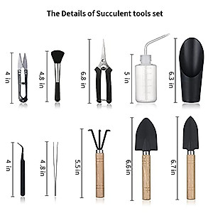 11Pcs Succulent Tools,Mini Garden Tools,Succulent Watering Bottle as Plant Accessories,Succulent Gardending Hand Tools Kit for Seedling Soil,Caring Succulent,Houseplent,Gifts for Woman (No Flowerpot)