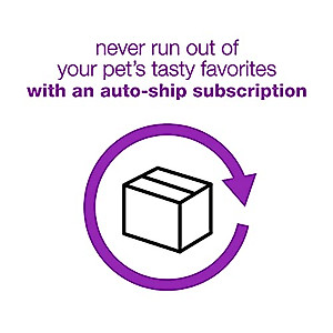 Purina Beneful High Protein, Gravy Wet Dog Food Variety Pack, Chopped Blends - (12) 10 oz. Tubs