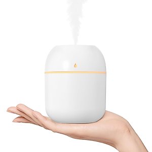 Portable Small Humidifier, USB Personal Desktop Humidifier for Car, Office Room, Bedroom, Auto Shut-Off, 2 Mist Modes, Super Quiet(220ml, White)