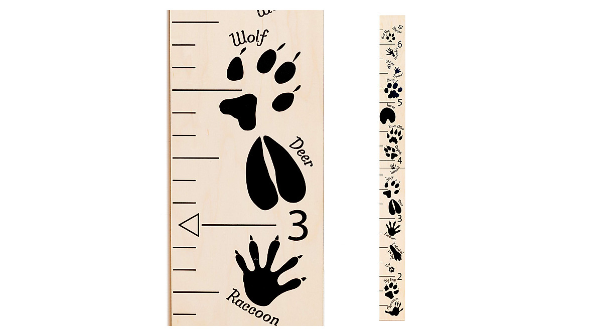 HEADWATERS STUDIO Kids Wooden Wall Growth Chart, Boys and Girls ...
