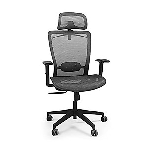 FLEXISPOT OC3B Ergonomic Executive Mesh Office Chair Swivel Height Adjustable Seat Headrest Armrest Lumbar Support Caster Wheels Task Chair Gray Mesh Seat Computer Office Desk Chair