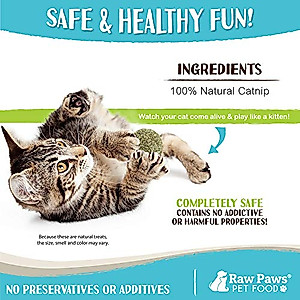Raw Paws Natural Catnip Ball for Cats (6-ct) - Interactive Cat Toy for Indoor Cats - Cat Ball Toy - Kitten Toys - Cat Nip Ball Cat Toy - Cat Lick Ball - Cat Nip Cat Toys Balls - Catnip Ball Toy