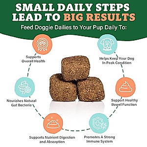 Doggie Dailies Probiotics for Dogs, 225 Soft Chews, Advanced Dog Probiotics with Prebiotics, Promotes Digestive Health, Supports Immune System and Overall Health (Pumpkin)