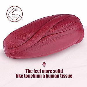 Human Body Muscle Replica Model - 5 lb to Keep Fit & Fitness Encouragement for Fitness Enthusiast, Nutritionist, Athlete