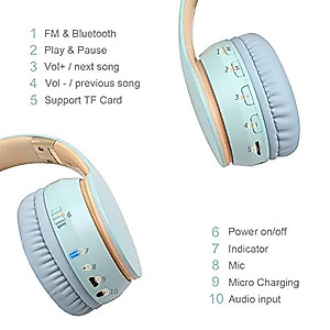 LOBKIN Over Ear Headphones with Microphone, Stereo Hi-Fi Sound Noise Cancelling Headphones, Portable FM Radios TF Foldable Headsets Wireless Bluetooth Headphones (Powder Blue)