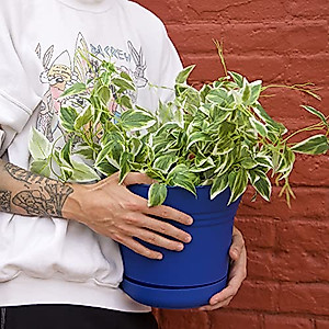 Bloem Planter Saturn CL BL 10"