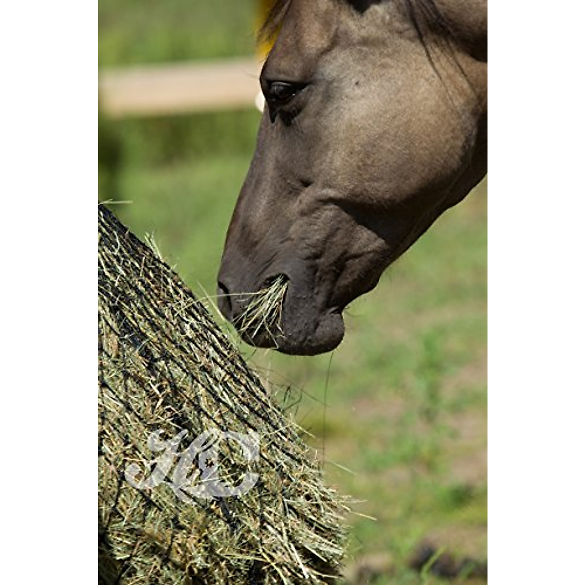 hay chix Slow Feed Hay Net for [Horse and Livestock Health, hay Feeder, hay net, Slow Feed hay net] Save Your time, hay and Money! Half Bale Net (1 3/4" Original)