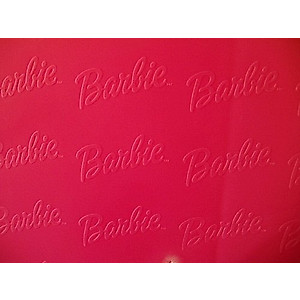 Barbie Doll Case