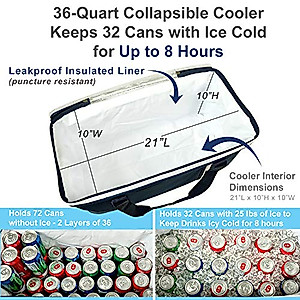 Picnic at Ascot 64 Can Capacity Semi Rigid Collapsible Leakproof Cooler- Designed & Quality Approved in the USA