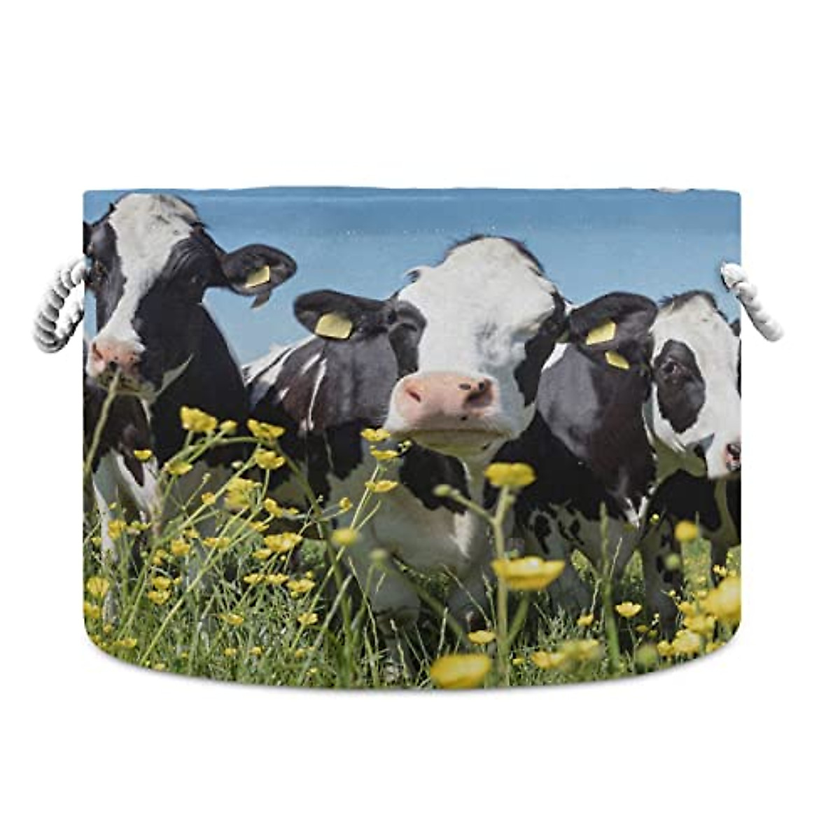 Kigai Black White Cows Round Storage Basket, Toy Basket Bin with Cotton Rope Handle, Laundry Basket Hamper, Clothes Organizer 20 x 14 In