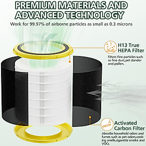 FLT4700 HEPA Filter M Replacement Compatible with G-Guardian AC4700 AC4700BDLX AC4711W AC4625 AC4625WDLX Air Purifier FLT4700 FLT47CB4, 2 H13 True HEPA + 4 Activated Carbon Filter (2+4)