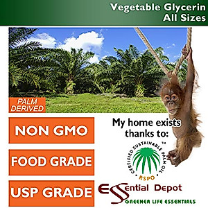 Glycerin Vegetable - 1 Gallon (10.75 lbs or 172oz net wt) - Non GMO - RSPO - Sustainable Palm Based - USP - Kosher - Pure - Pharmaceutical Grade - Safety Sealed HDPE Container with resealable Cap