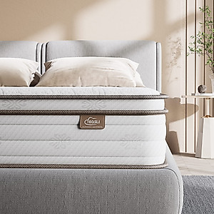 TeQsli 12 Q Mattress