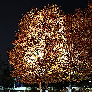 TOPELE 1100LM LED Flood Light, LED Outdoor Security Light, Exterior Flood Lights Fixture with CREE LED Source for Landscape Light, Commercial, Home, Garden, Yard, Waterproof, Brown, 5000K