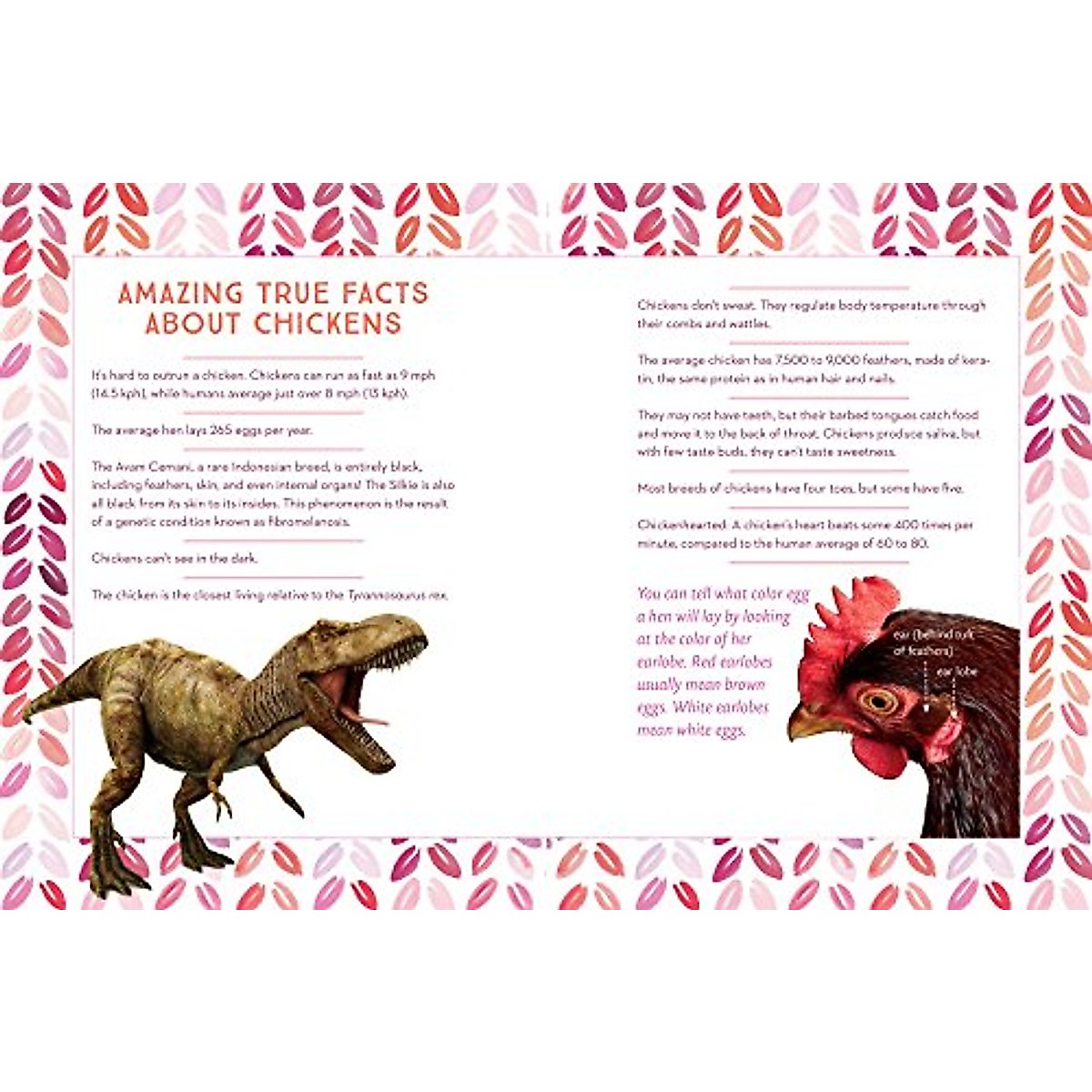 How to Speak Chicken: Why Your Chickens Do What They Do & Say What They Say