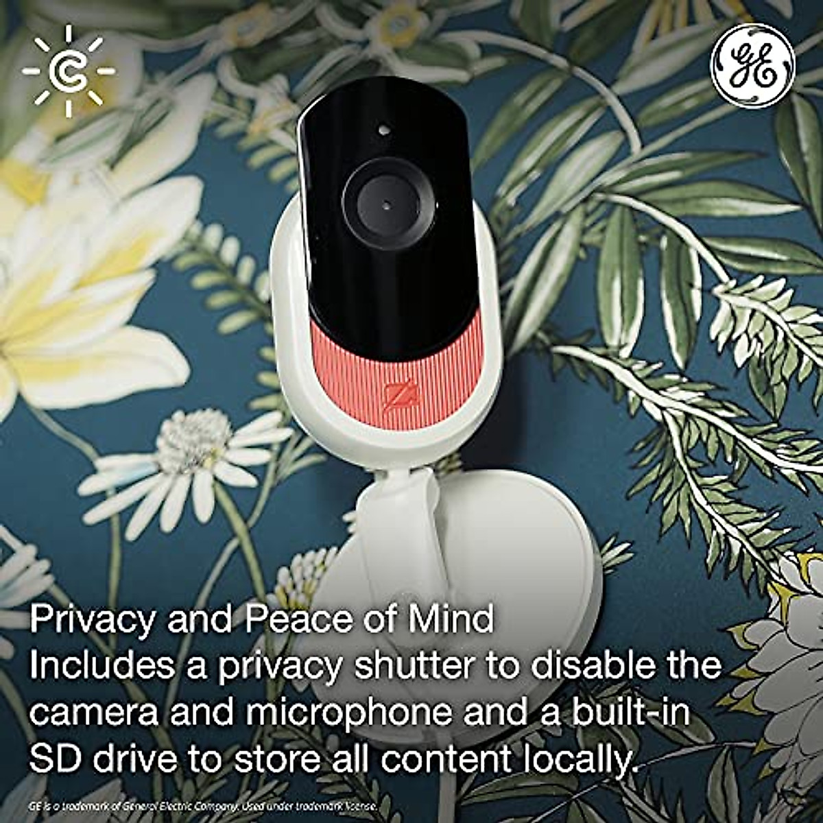 Indoor Camera + A19 FC