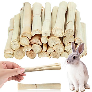 WYOMER 1lb Sweet Bamboo Chew Toy Natural Sweet Bamboo Animals Molar Chew Sticks Toys Pet Snacks Bamboo Sticks Treats