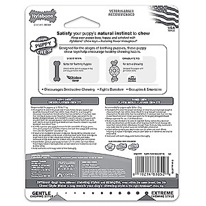 Nylabone Puppy Chew Toy Twin Pack - Puppy Chew Toys for Teething - Puppy Supplies - Medley & Chicken Flavor, X-Small/Petite (2 Count)