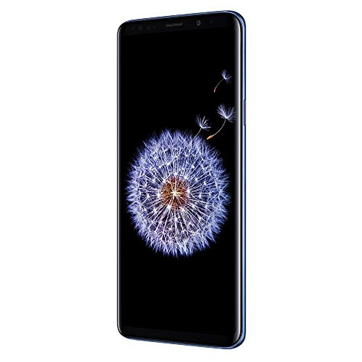 Samsung Galaxy S9 Plus (SM-G965F/DS) 6GB / 128GB 6.2-inches LTE Dual SIM Factory Unlocked - International Stock No Warranty (Coral Blue)