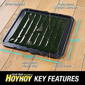 HOY HOY Rat & Mouse Jumbo Size Glue Trap 6 Traps [3-Pack] - Heavy-Duty Professional Strength Ready-to-Use Rodent Pest Control, Great for Home with Kids & Pets Indoor Household Pests