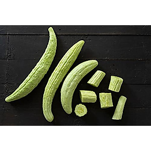 Armenian Pale Green Cucumber Seeds for Planting, 100+ Heirloom Seeds Per Packet, (Isla's Garden Seeds), Non GMO Seeds, Botanical Name: Cucumis sativus, Great Home Garden Gift