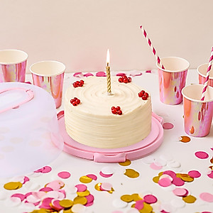 DZ CLAN Cake Carrier, Carrier Cupcake Holder with Cake Turntable, Cake Carrier with Lid and Handle(Pink)