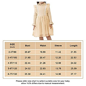 Toddler Baby Girls Knit Sweater Floral Tutu Dresses Long Sleeve Princess Fluffy Tulle Dress (Apricot, 4-5T)