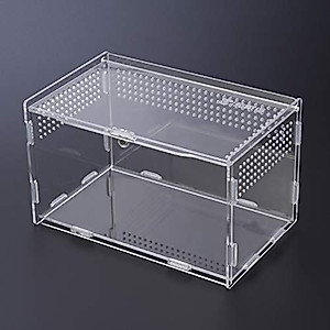 POPETPOP Reptile Tank 1Pc Reptile Box Portative Utility Reptile Box Feeding Case for Tortoise Spider Scorpion Snake Snail Terrarium