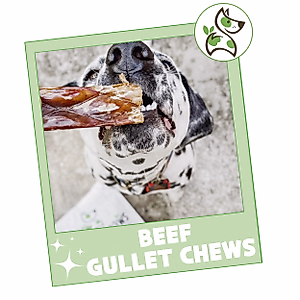 Nature Gnaws Beef Gullet Chews for Large Dogs 9-10" (10 Count) - Natural Beef Jerky Stick Dog Chew Treats - Rawhide Free