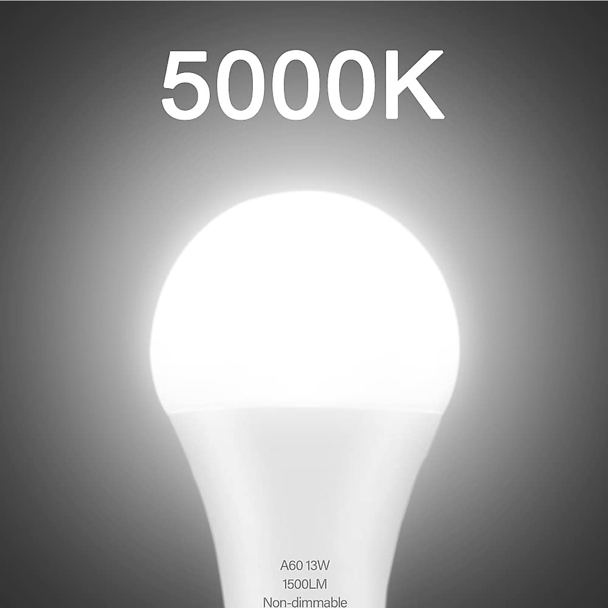 LED Light Bulbs, 100W Equivalent A19 LED Bulbs, 13 Watt Daylight White 5000K, E26 Medium Base LED Bulbs, 1500 Lumens, Non-Dimmable, 24 Packs