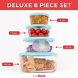 EatNeat 4 Piece Beautiful Glass Kitchen Canisters with Stainless Steel Lids 4 pc Round Glass Food Storage Containers With Lids