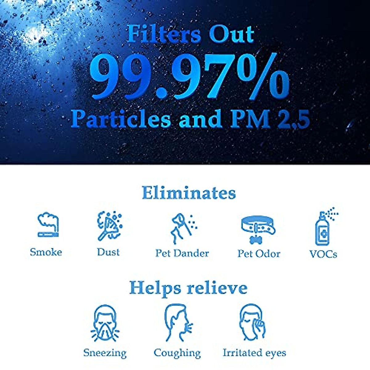 Vegebe IC-5018 & IC-5120 Replacement Filter