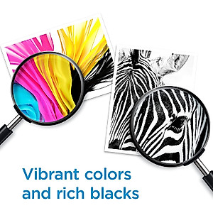 HP 61 Tri-color Ink | Works with DeskJet 1000, 1010, 1050, 1510, 2050, 2510, 2540, 3000, 3050, 3510; ENVY 4500, 5530; OfficeJet 2620, 4630 Series | Eligible for Instant Ink | CH562WN