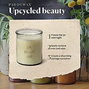 Paddywax Firefly Candle Co. En Plein Air Scented Candles with Soy Wax Blend and Reusable Glass Jar for Home Fragrance and Aromatherapy - 10 Ounce, Sea Salt & Oak, Gray