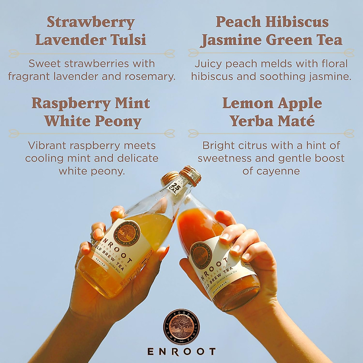 Enroot - Sparkling Cold Brew Tea - 25 Calories - 0 Added Sugar - Organic - Nootropic - Vegan & Gluten-Free - Adaptogen - Kosher - Non-GMO - Non-Alcoholic Beverage - Variety Pack - 12 oz / 6 Pack