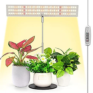 LORDEM Grow Light, Full Spectrum LED Plant Light for Indoor Plants, Height Adjustable Growing Lamp with Auto On/Off Timer 4H/8H/12H, 4 Dimmable Brightness, Ideal for Home Desk Plant Lighting