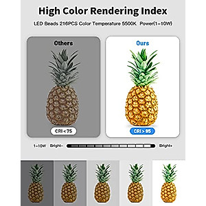 Glendan Light Box Photography, Portable Photo Studio Light Box, 16" x 16" Professional Dimmable Shooting Tent Kit with 216 LED Table Top Light & 6 Backdrops Photo Box for Product Photography