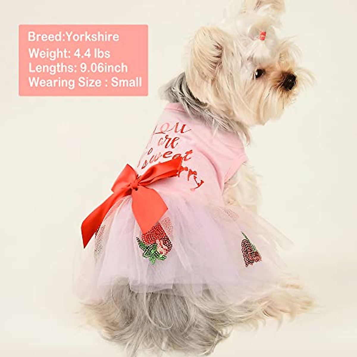 Dog Dress Sequins Strawberry Tulle Puppy Clothes Costumes Outfits for Small Dogs Girl (Large, Pink)