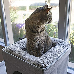 Kitty City Large Stackable Grey Condo, Cat Cube, Cat House, Pop Up Bed, Cat Ottoman, Mansion