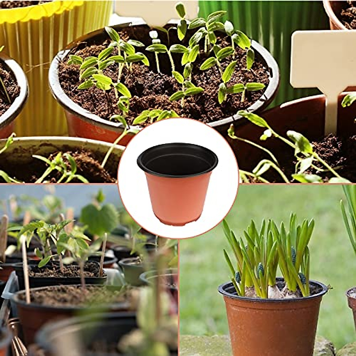 KINGLAKE 50 Pcs 6" Plastic Plants Nursery Seedlings Pot/Pots Flower Plant Container Seed Starting Pots for Plant