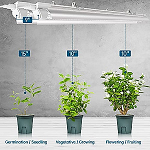 Barrina Plant Grow Light, 4FT 5000K Full Spectrum White, 252W(6 x 42W), T8 LED Grow Light, Growing Lamp Fixture, Plant Light for Indoor Plant, 6-Pack