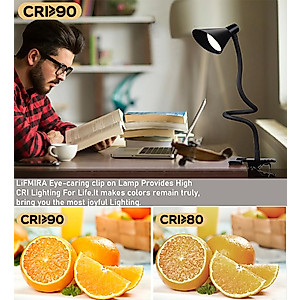 LiFMIRA Clip on Light USB Reading Light 3 Color Modes 10 Brightness Levels Eye Care Clamp Light Flexible Gooseneck Dimmable Reading Lamp Clip on Lamp for Bed Headboard Desk Bedside Dorm (Black)