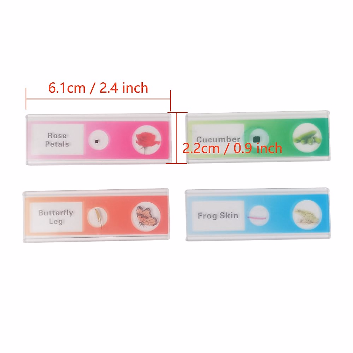 48pcs Kids Plastic Prepared Microscope Slides of Animals Insects Plants Flowers Sample Specimens for Microscopes