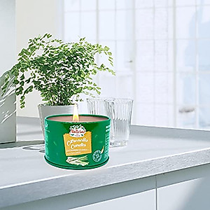 Citronella Candles Outdoor Indoor, 4 Packs 4.4oz Green Travel Tin Soy Wax Aromatherapy Candles for Patio Yard Home Camping