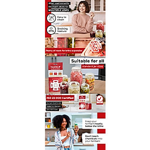 ViscoDisc Canning Buddies- Wide Mouth Mason Jar Inserts