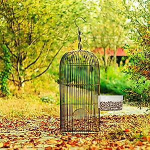 2pcs Bird Cage Feeding Container Bird Food Trough Bird Feeder Thick Semicircle Bird Food Box Bird Cage Accessories for Birds(Transparent)