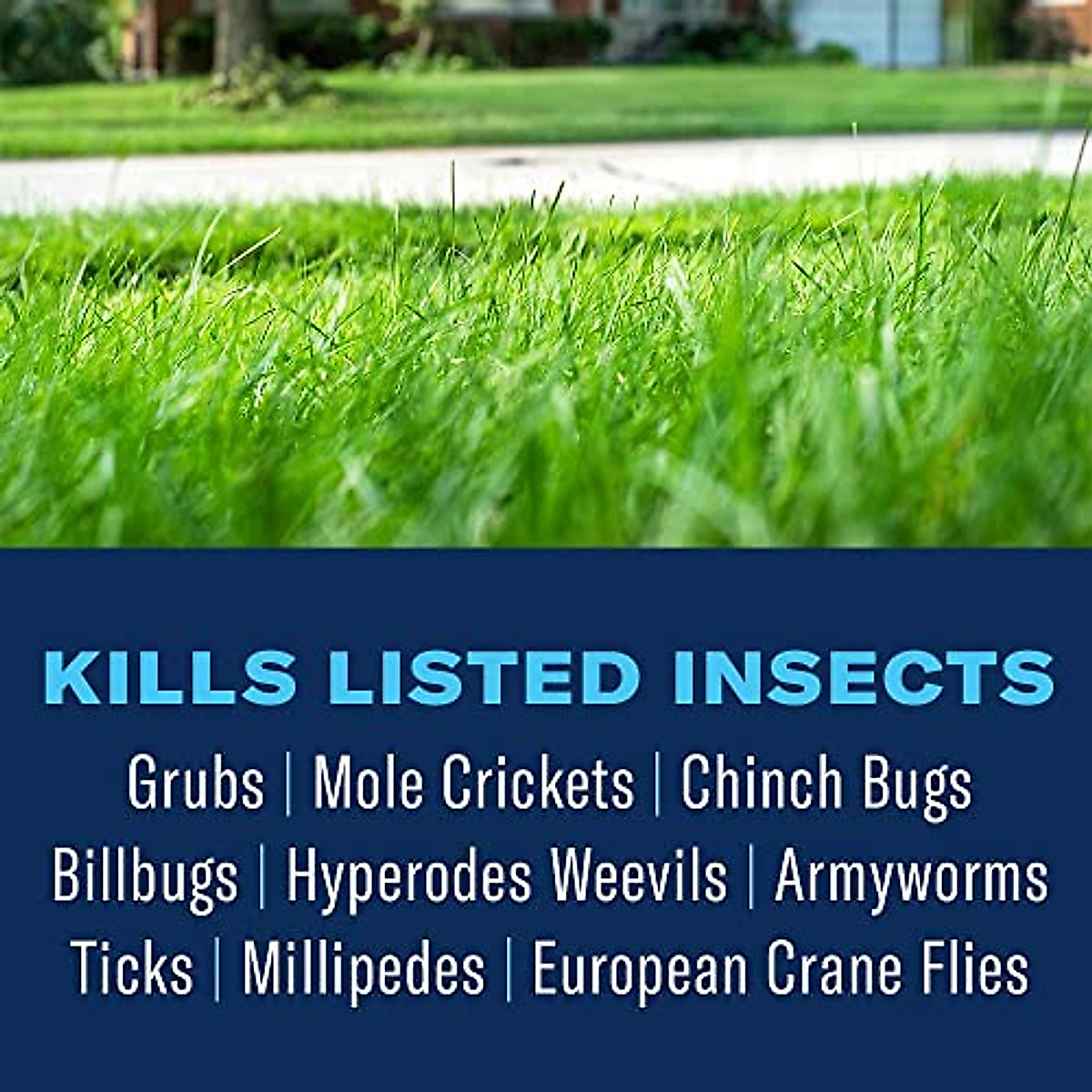 BioAdvanced Season Long Grub Control, Ready-to-Spread Granules, 10 LB