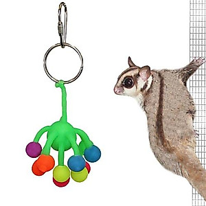 Jungle Canopy Toy Bundle - Colorful Interactive Climbing Forage Cage Accessory Toy Set - for Sugar Gliders, Rats, Ferrets, Hamsters, Squirrels, Parrots, Birds, Marmosets, Degus, Monkeys & Small Pets