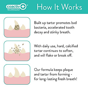 SKOUT'S HONOR Fresh & Flavorless Water Additive - VOHC Accepted for Tartar Control, Freshens Breath Fast, No Brushing Required, 32 oz